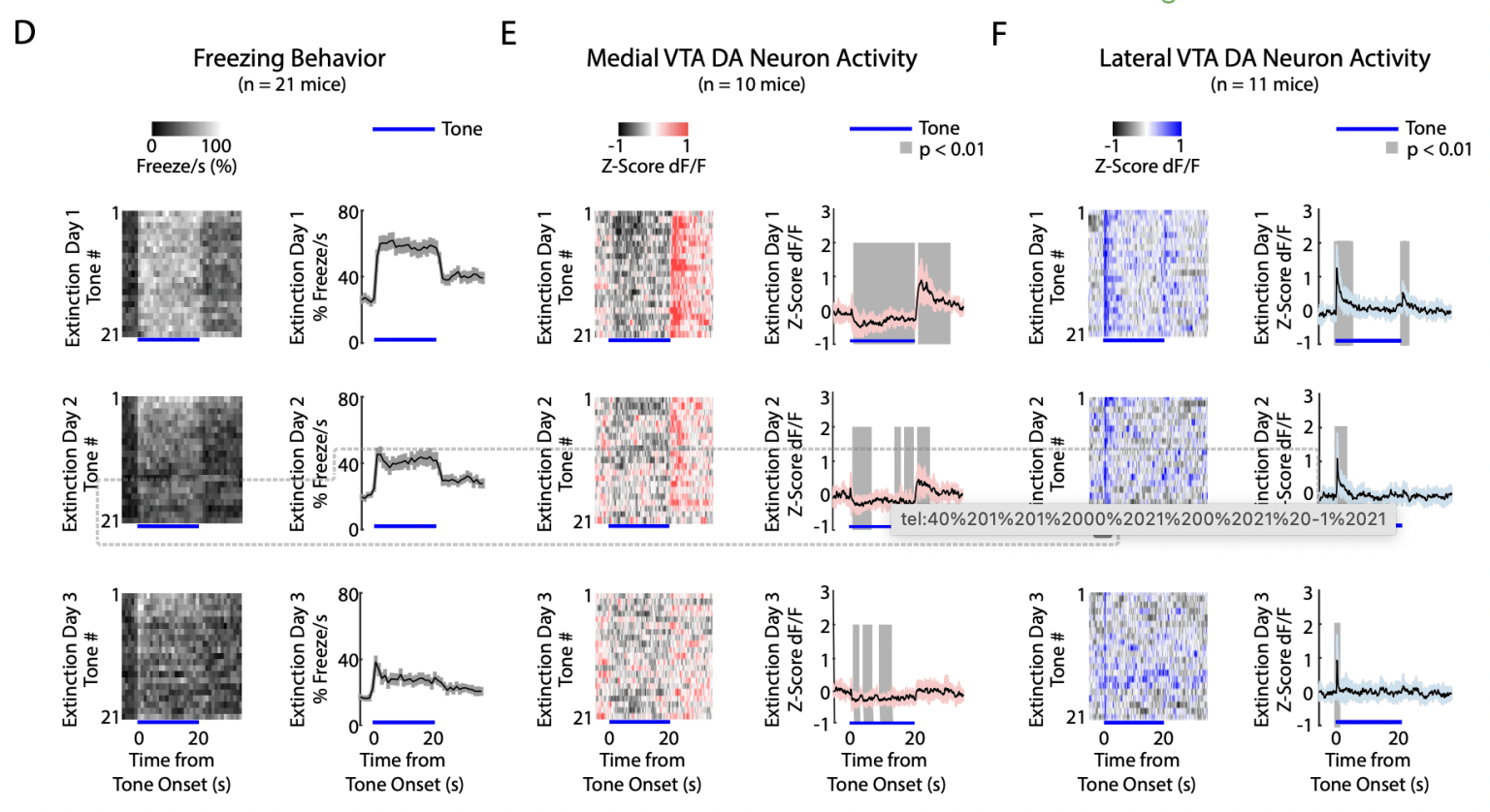 Distinct signals in medial and lateral VTA dopamine neurons modulate ...