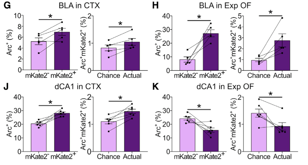 Hippocampal-amygdala memory circuits govern experience-dependent ...